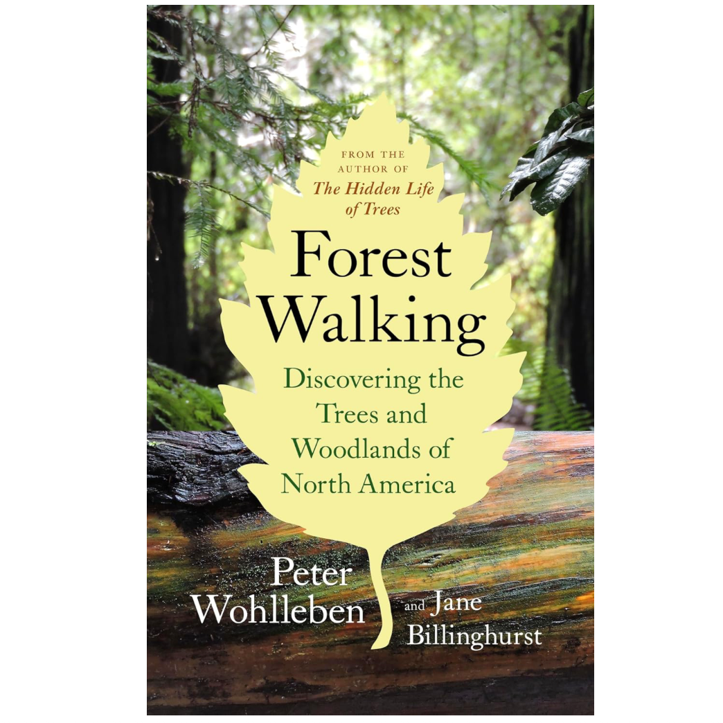Forest Walking - Discovering the Trees and Woodlands of North America ...
