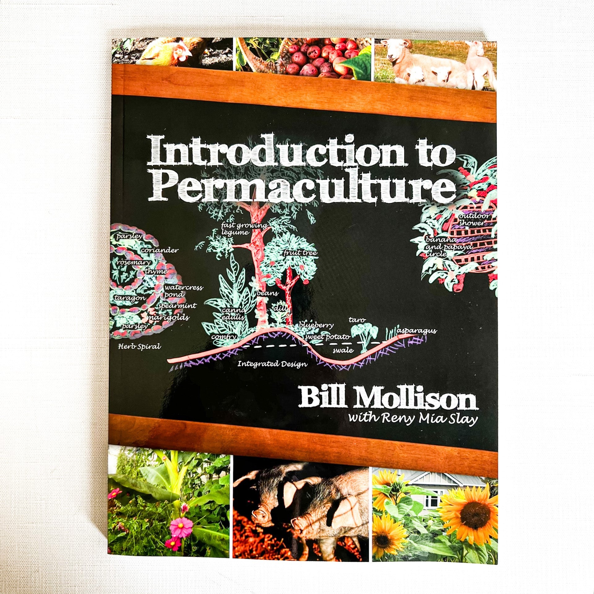 Introduction to Permaculture – Zaytuna College Bookstore