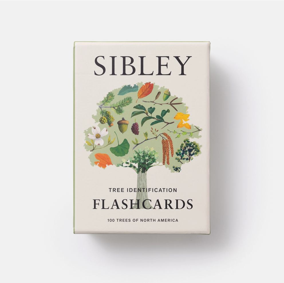 Sibley Tree Identification Flashcards – Zaytuna College Bookstore