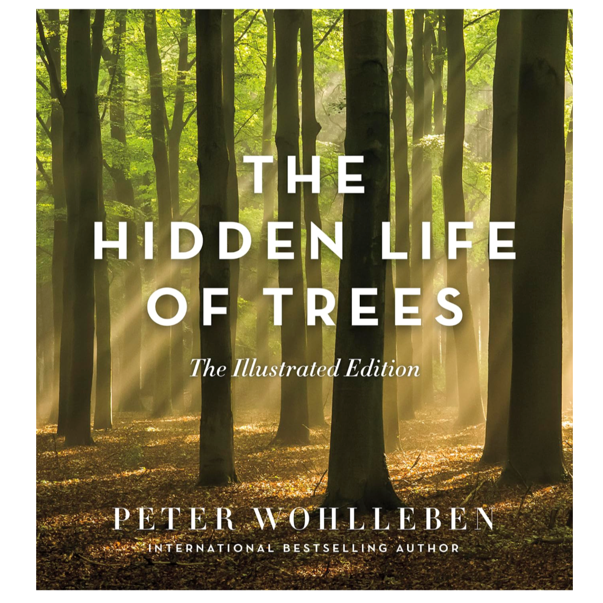 The Hidden Life of Trees - Illustrated Edition – Zaytuna College Bookstore