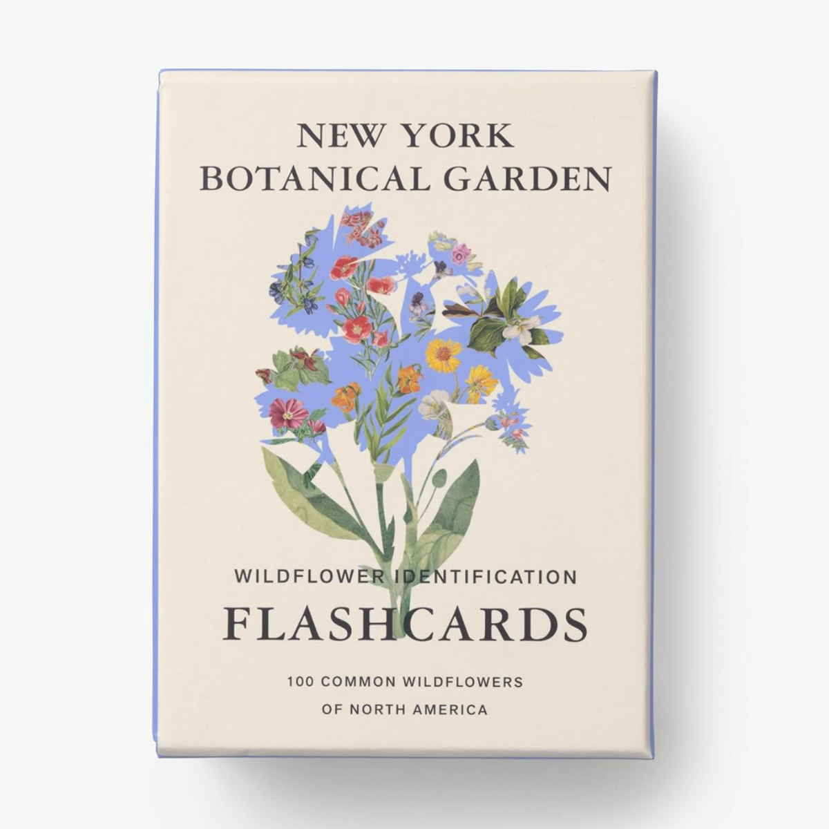 Wildflower Identification Flashcards – Zaytuna College Bookstore